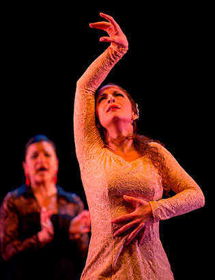 Curso de Flamenco online: Fandango (Avanzado) - Lidón Flamenco Academy